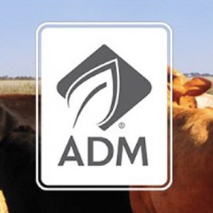 ADM – United Equity